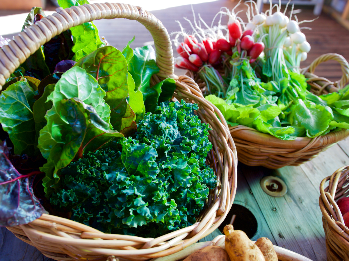 5 foods that are excellent for the heart