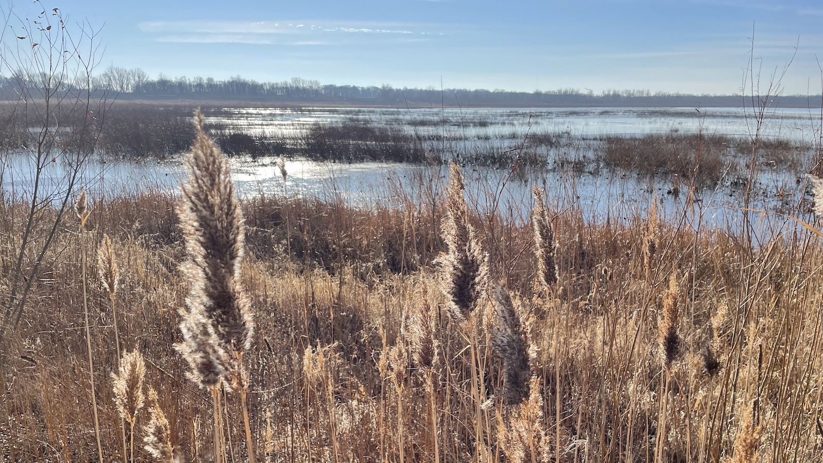 How America’s prairie was nearly destroyed — and why it should be restored