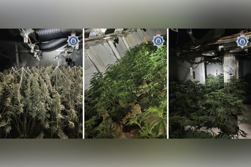 Police raid old bank and make HUGE discovery