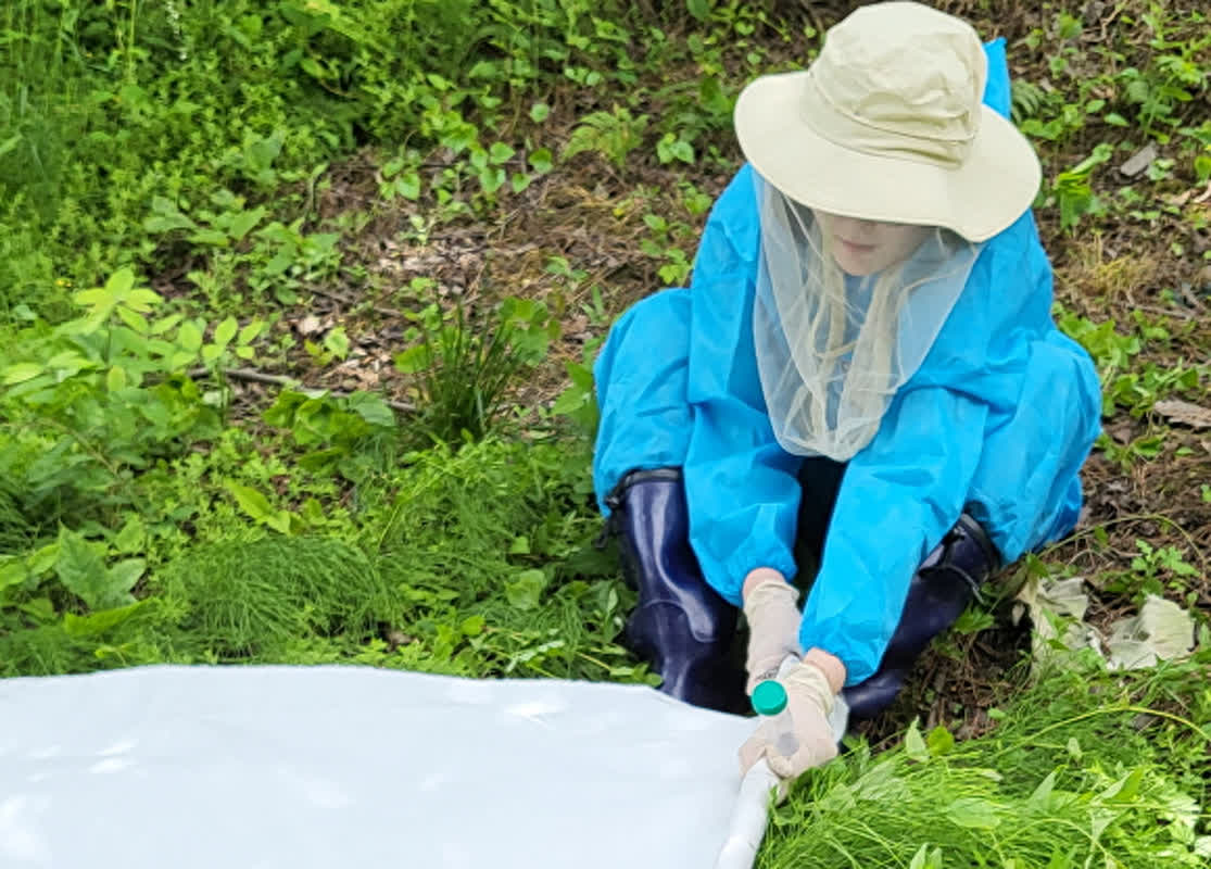충북서 SFTS 확진자 사망…“사망 연관성 불분명”