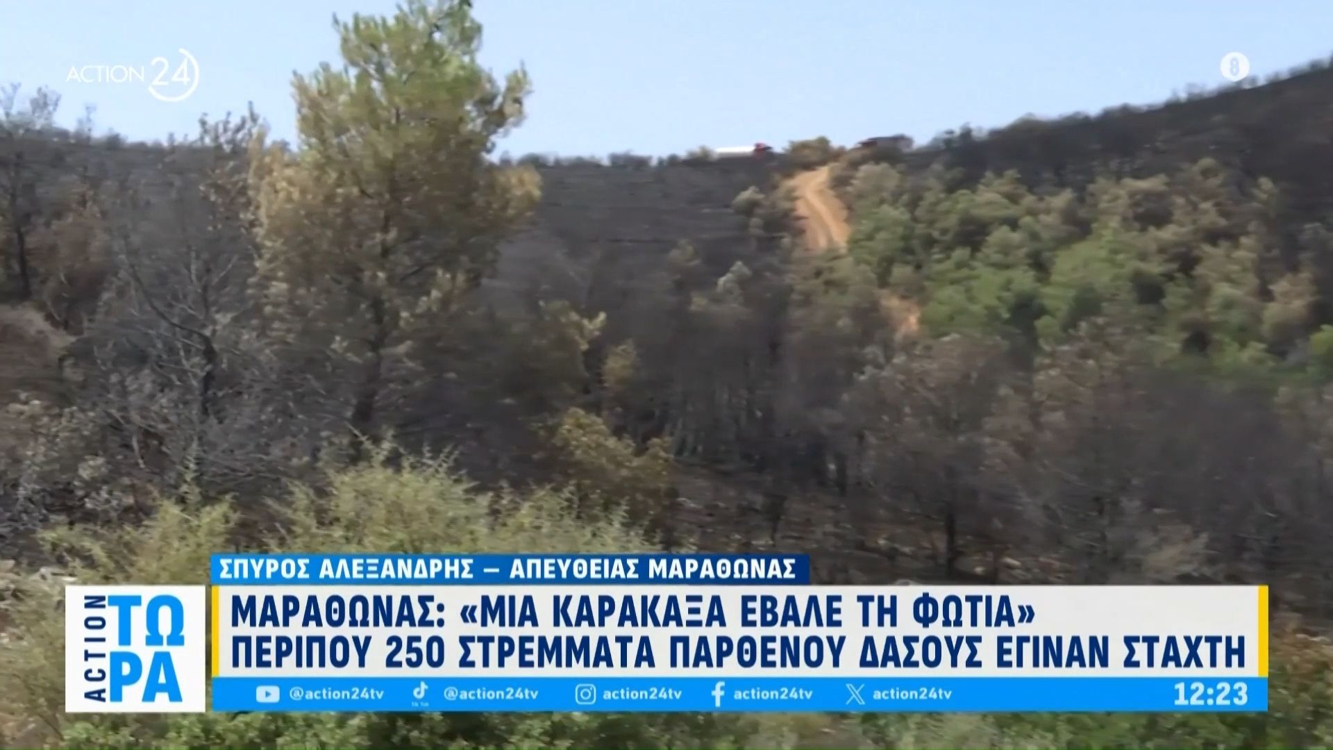 Μαραθώνας: «Μια καρακάξα έβαλε τη φωτιά» - Περίπου 250 στρέμματα ...