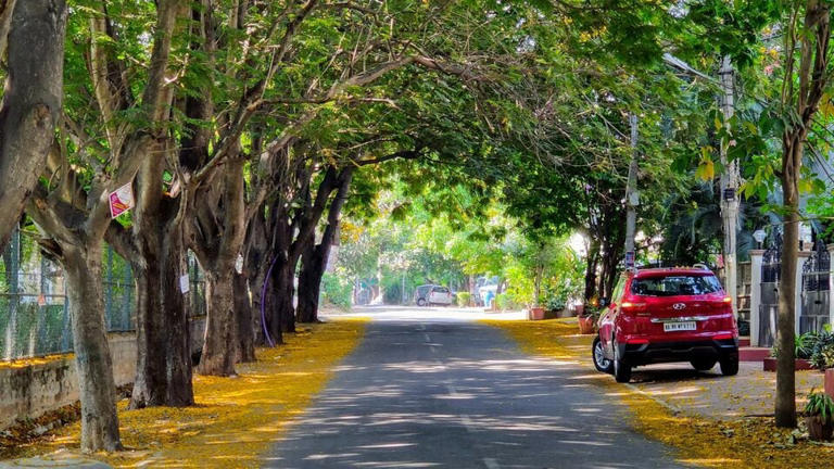 'Passive growth': Canadian man shares why he moved to India 8 years ago ...