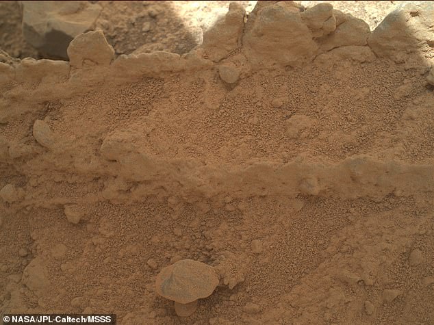 Life on Mars? 'Mushroom' is spotted on the Red Planet in photo snapped ...