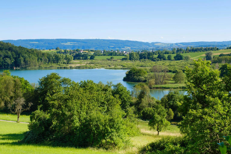 Sommerferien in Baden-Württemberg: 15 schöne Seen zum Baden