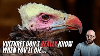 Exposing the Truth About Common Animal Beliefs