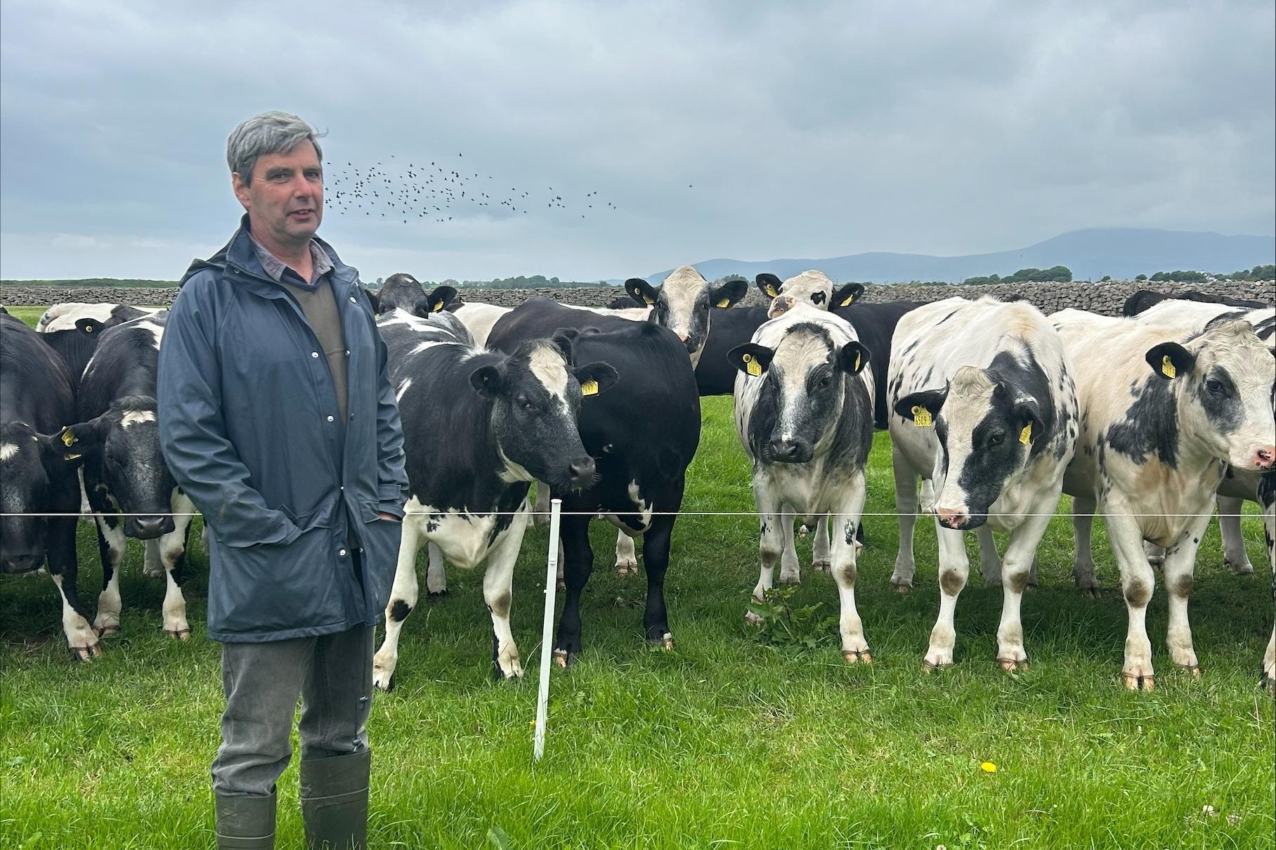 AgriSearch to hold a farm walk in Kilkeel