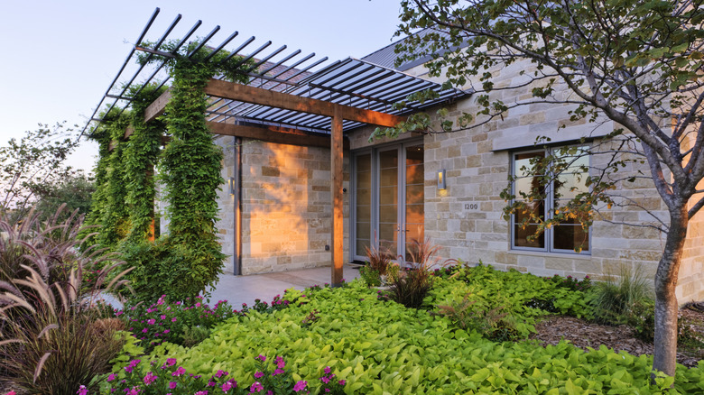 12 Plants That Are Perfect For Planting Right Up Against Your Foundation