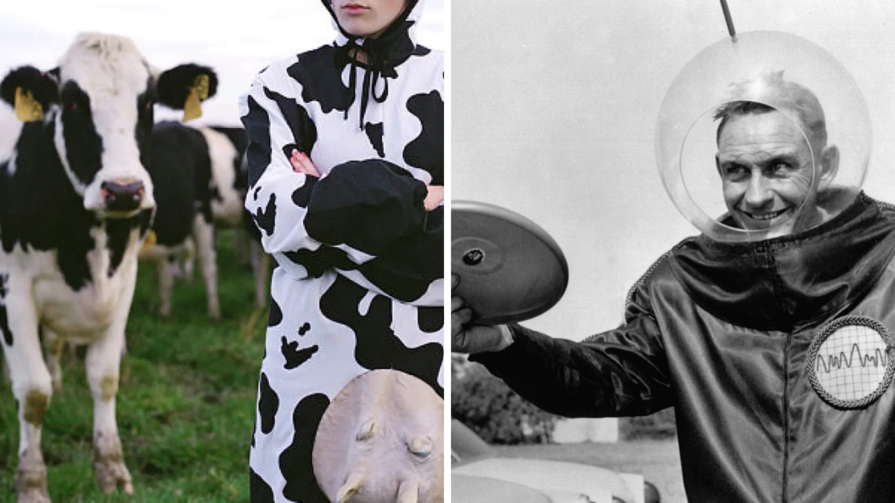30 Bizarre Truths That Make No Sense (But Are Real)