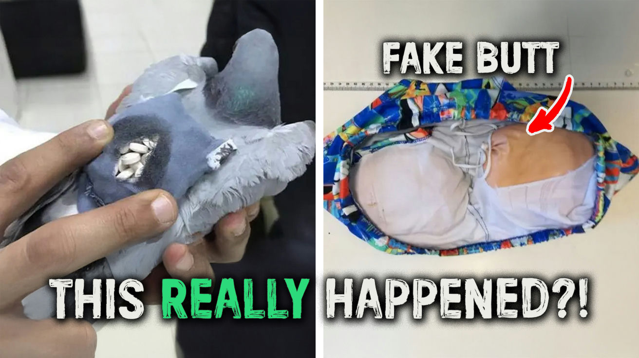 Cocaine Submarines and Pigeon Drug Mules: Smuggling at Its Smartest and ...