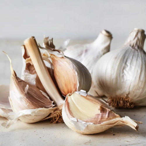June is an ideal time to harvest garlic scapes – here’s how to pick ...