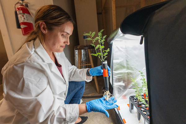 Moon farming may be possible thanks to Texas scientist