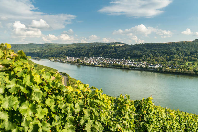 Backlash to artificial dye grows as Kraft ditches coloring for Kool-Aid ...