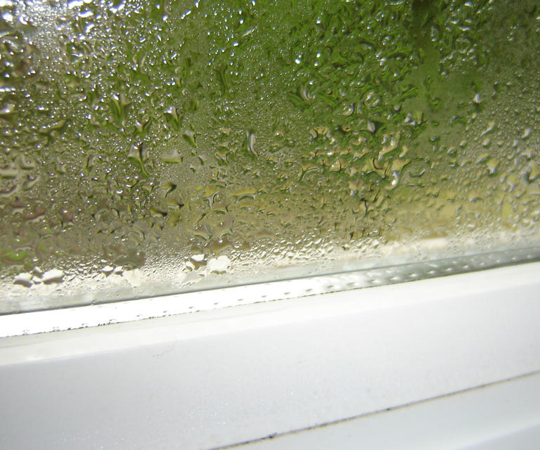 Need to know how to reduce humidity in a house? These are the steps you ...