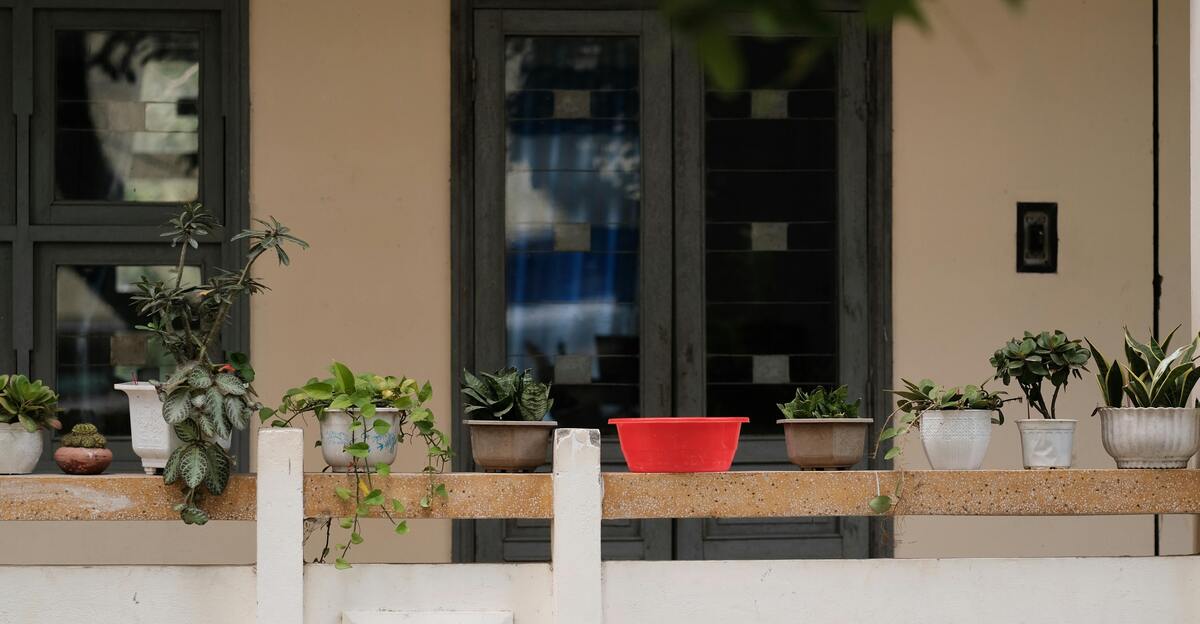 11 Clever Ideas for a Thriving Balcony Garden in Tight Spaces