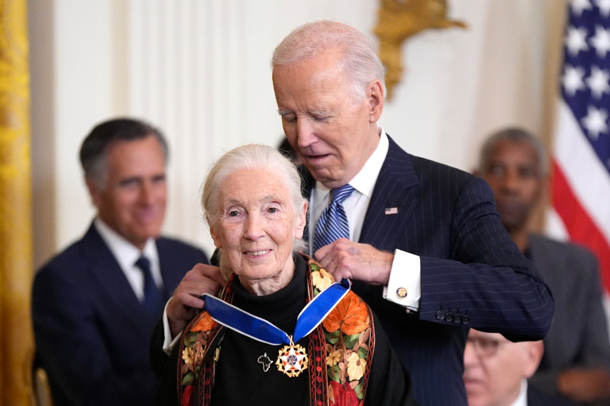 Trump’s aid cuts leave ‘critical’ Jane Goodall chimpanzee conservation ...