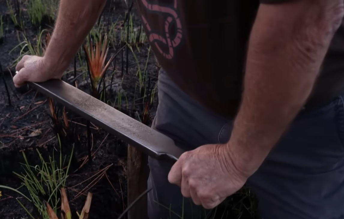 The Strangest Way to Catch Worms: Inside the World of Worm Grunting