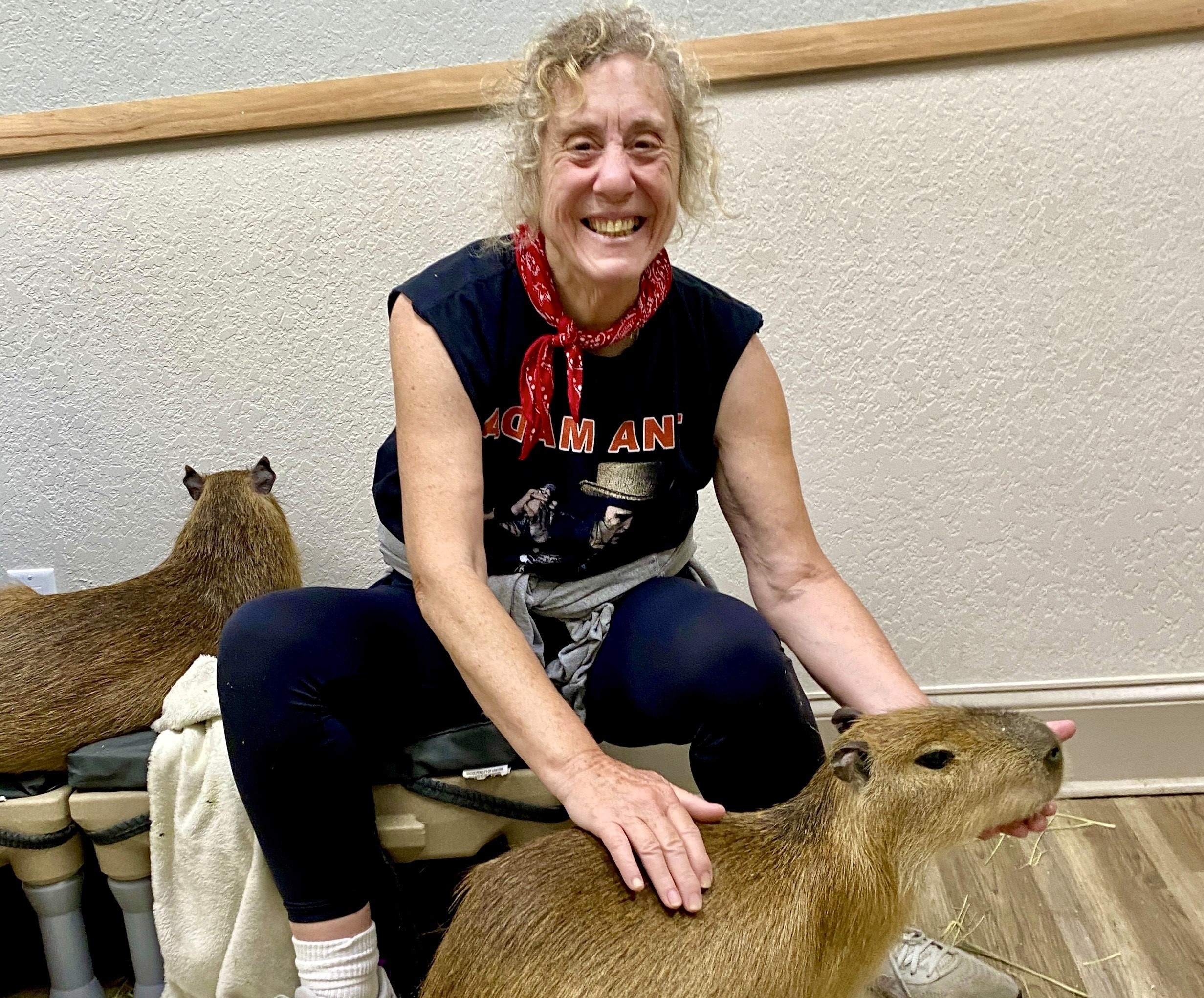 At the capybara cafe, people line up to snuggle the world’s largest rodents