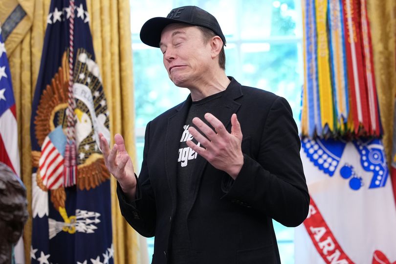 Elon Musk shares 'clean' drug test and slams Trump's 'big time drug ...