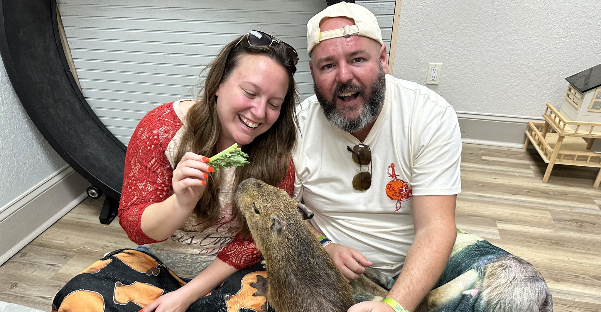 At the capybara cafe, people line up to snuggle the world’s largest rodents