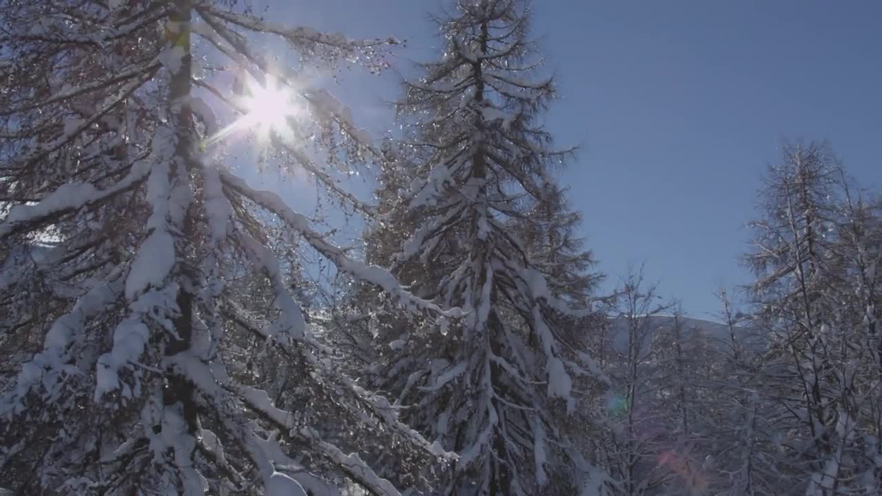 This Frost That Killed Thousands Is Still A Mystery