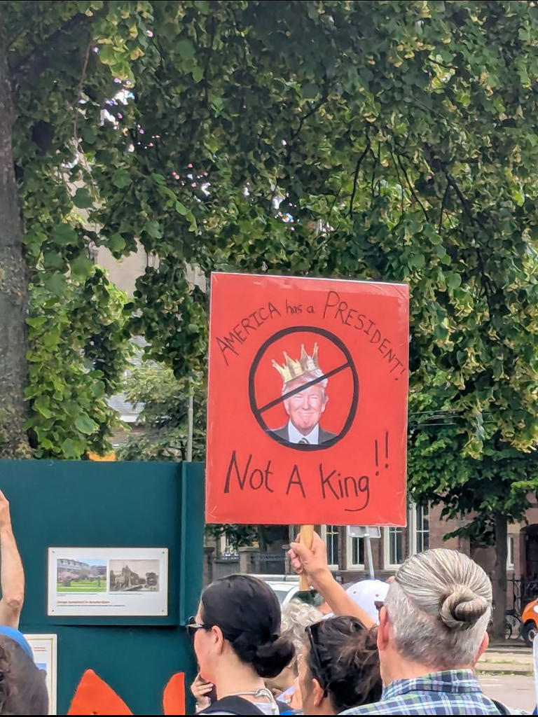 Les pancartes et slogans les plus drôles des manifestations "No Kings ...