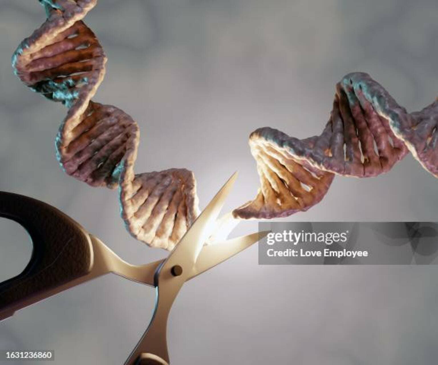 Lilly-Verve deal sends gene editing stocks higher