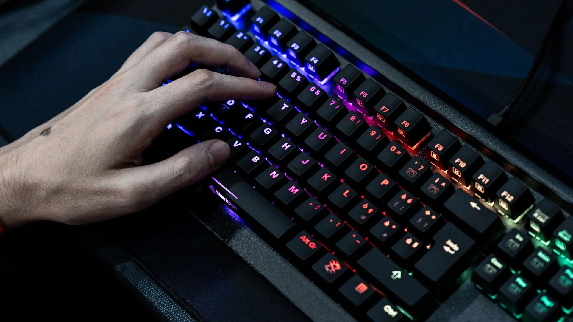 Web3 Gaming Updates: Bombie Airdrop, Pengu Clash Launch, Shiba Inu To ...