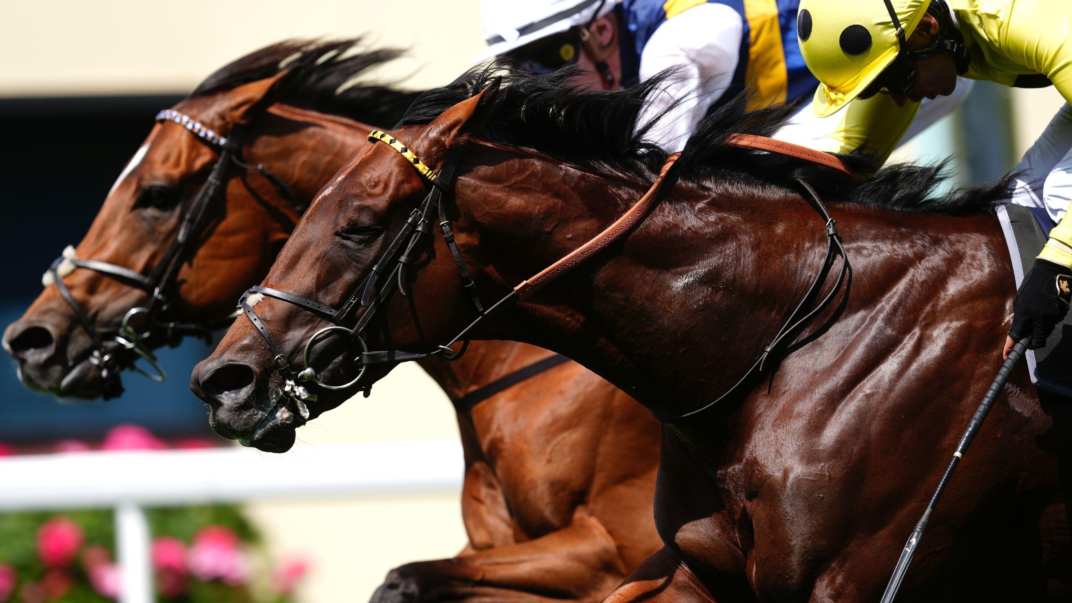 Docklands claims dramatic Royal Ascot win by a nose