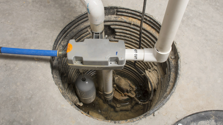 How To Prevent Drain Flies In Your Sump Pump