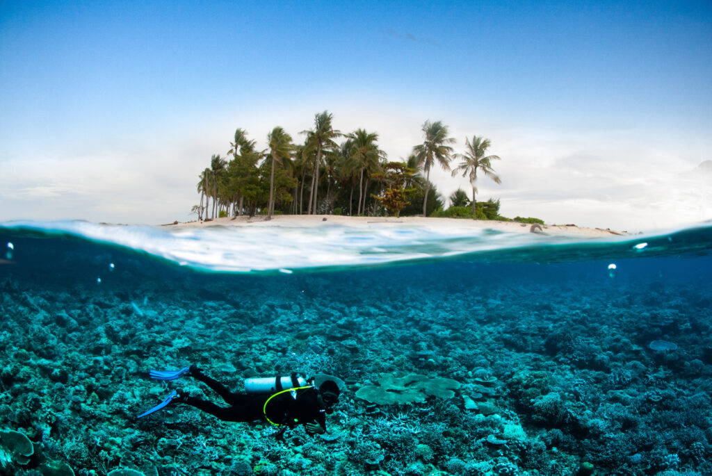 Scuba Diving's Ultimate Bucket List: The World's Top Dive Spots
