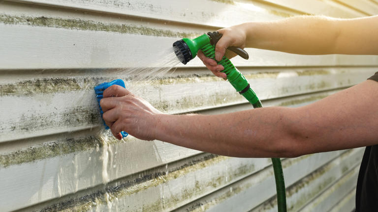 The Simplest Way To Clean And Remove Algae From Your Home's Siding