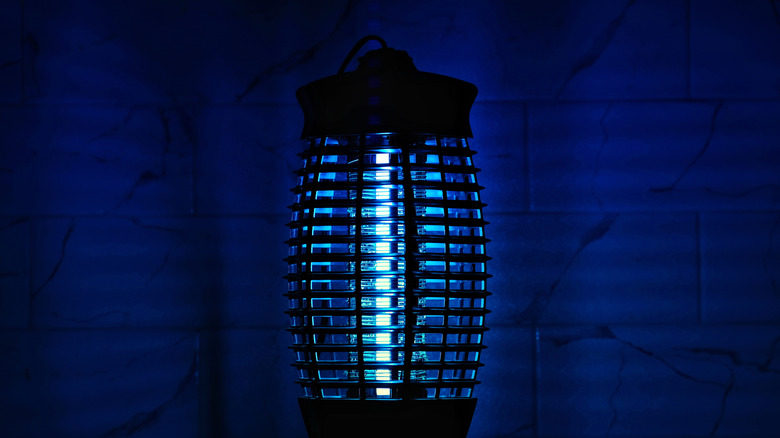 Are USB Bug Zappers Worth Buying? Here's What Reviews Are Saying