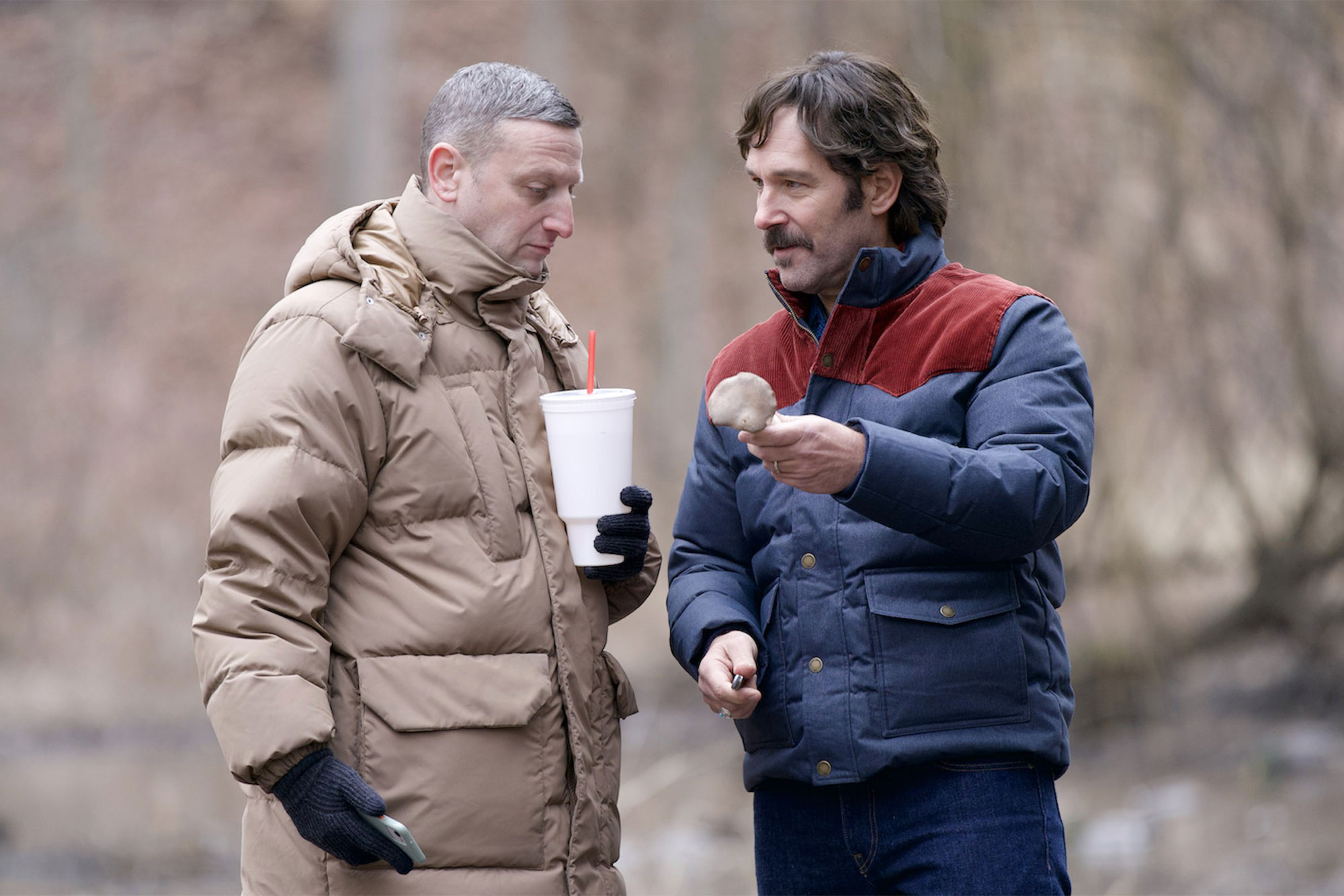 ‘Friendship’ is now streaming — Watch the Tim Robinson, Paul Rudd movie ...