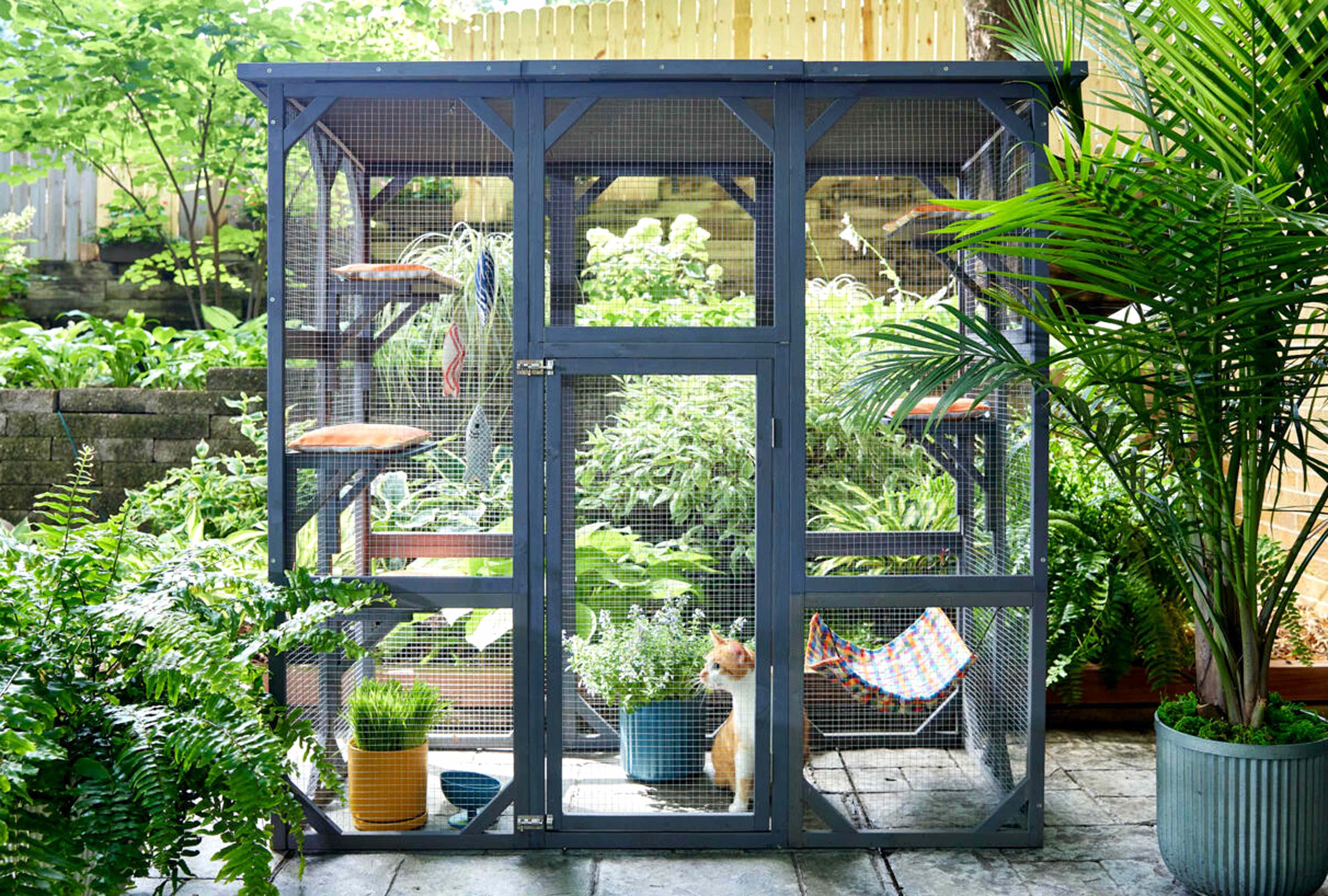 7 Must-Have Catio Upgrades Your Feline Friend Will Thank You For