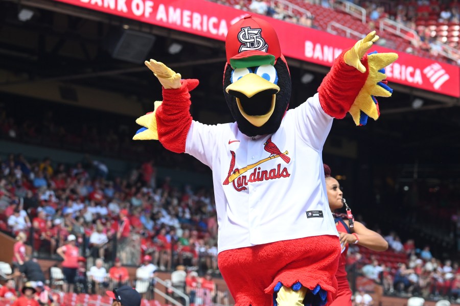 St. Louis Cardinals’ beloved mascot Fredbird inducted into Mascot Hall ...