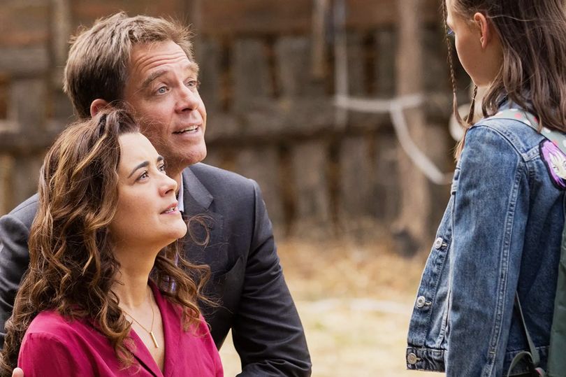 NCIS fans 'freaking out' as Tony and Ziva spin-off finally gets release ...