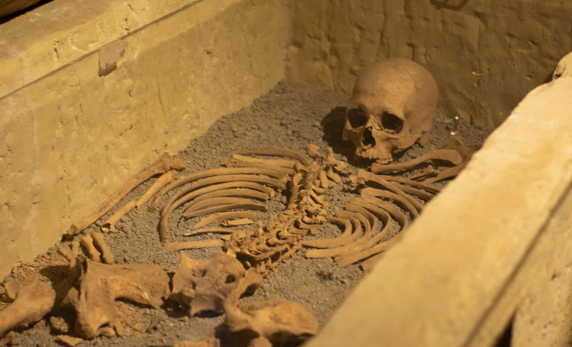 Rare Bed Burials from the Middle Ages Hold Surprising Clues to Europe’s ...