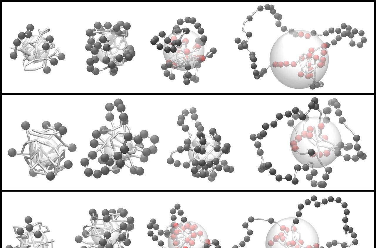 Jumping genes unite: How transposons cluster together through local ...