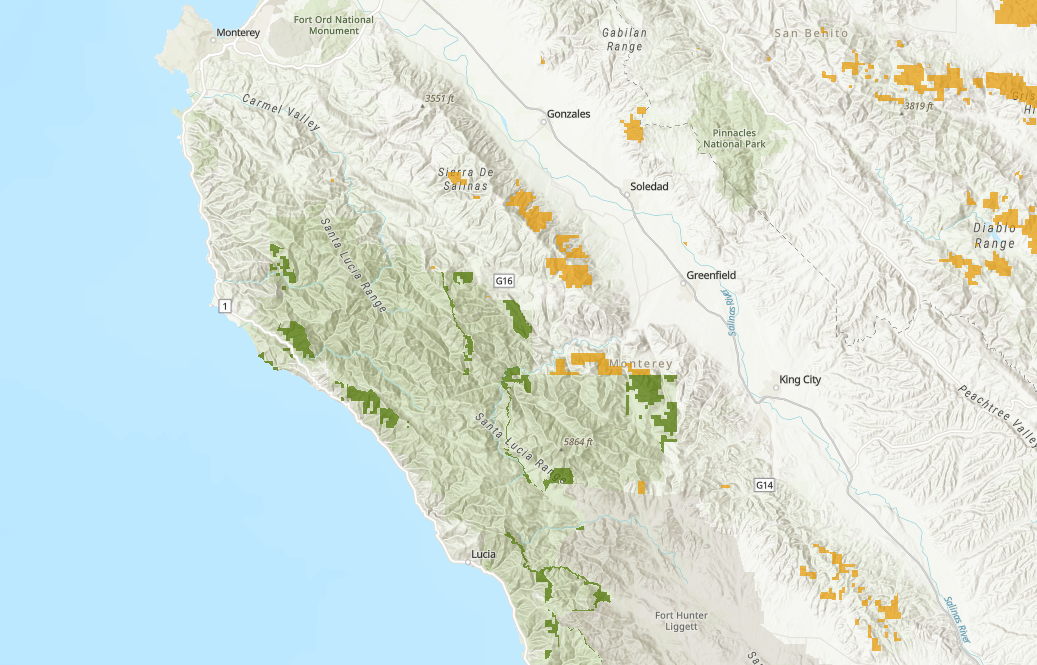 Big Sur land among 16 million acres in California at risk of sale under ...