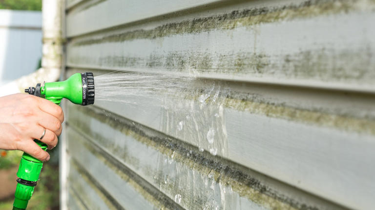 The Simplest Way To Clean And Remove Algae From Your Home's Siding