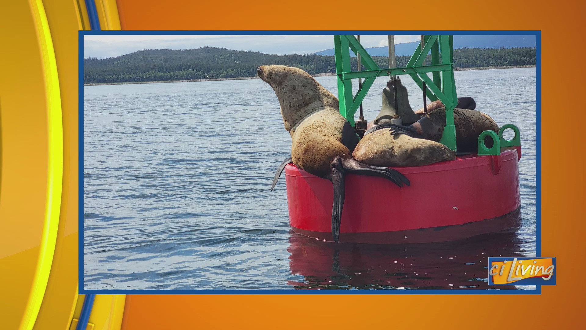 Energy Stick Experiment & Alaska Vacation