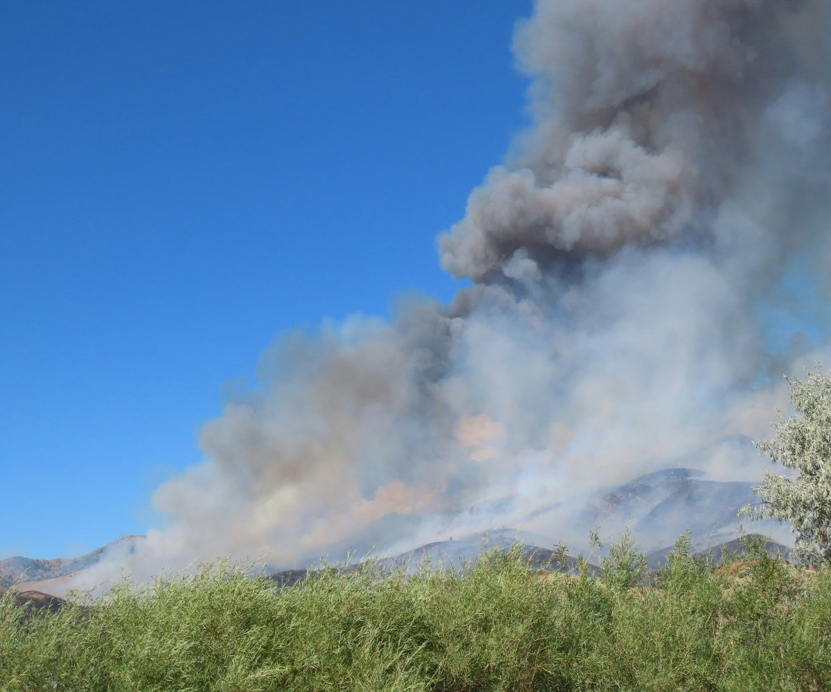 Maui Fire Ravages 330 Acres Of Hawaiian Homestead Lands, Forcing ...