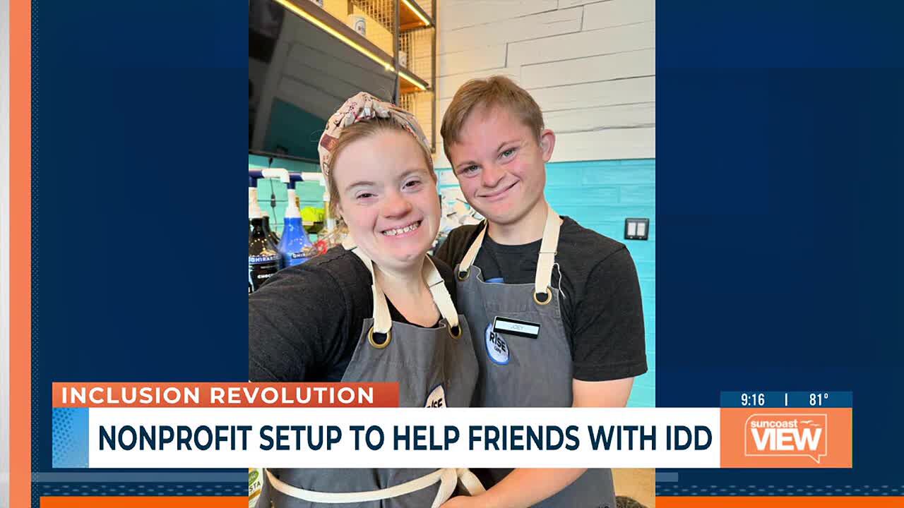 Inclusion Revolution