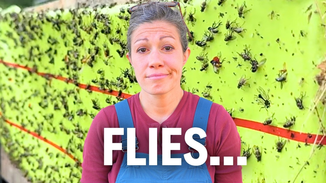 Worst Fly Season EVER! 😩 | A Farm Expert Reveals His Secrets