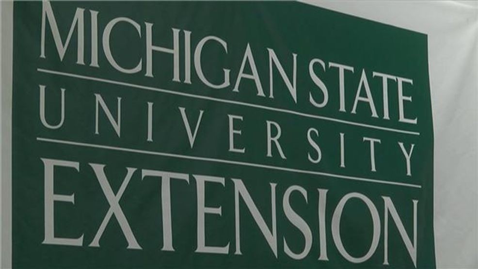 Learn more about PFAS with MSU Extension webinar series