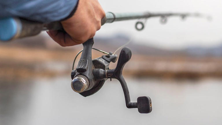 Join the MDC for a fun-filled “stream fishing” event