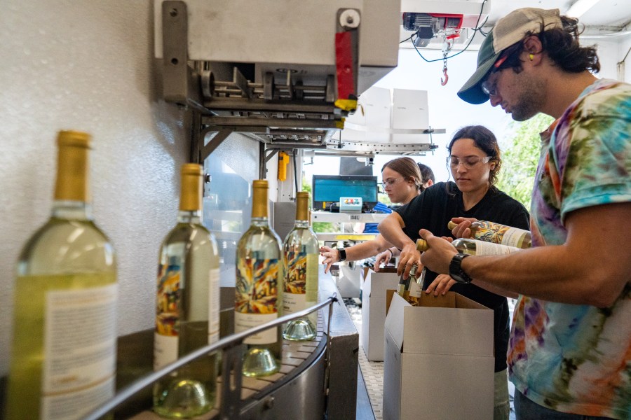 UC Davis launches label to sell Napa Valley wines