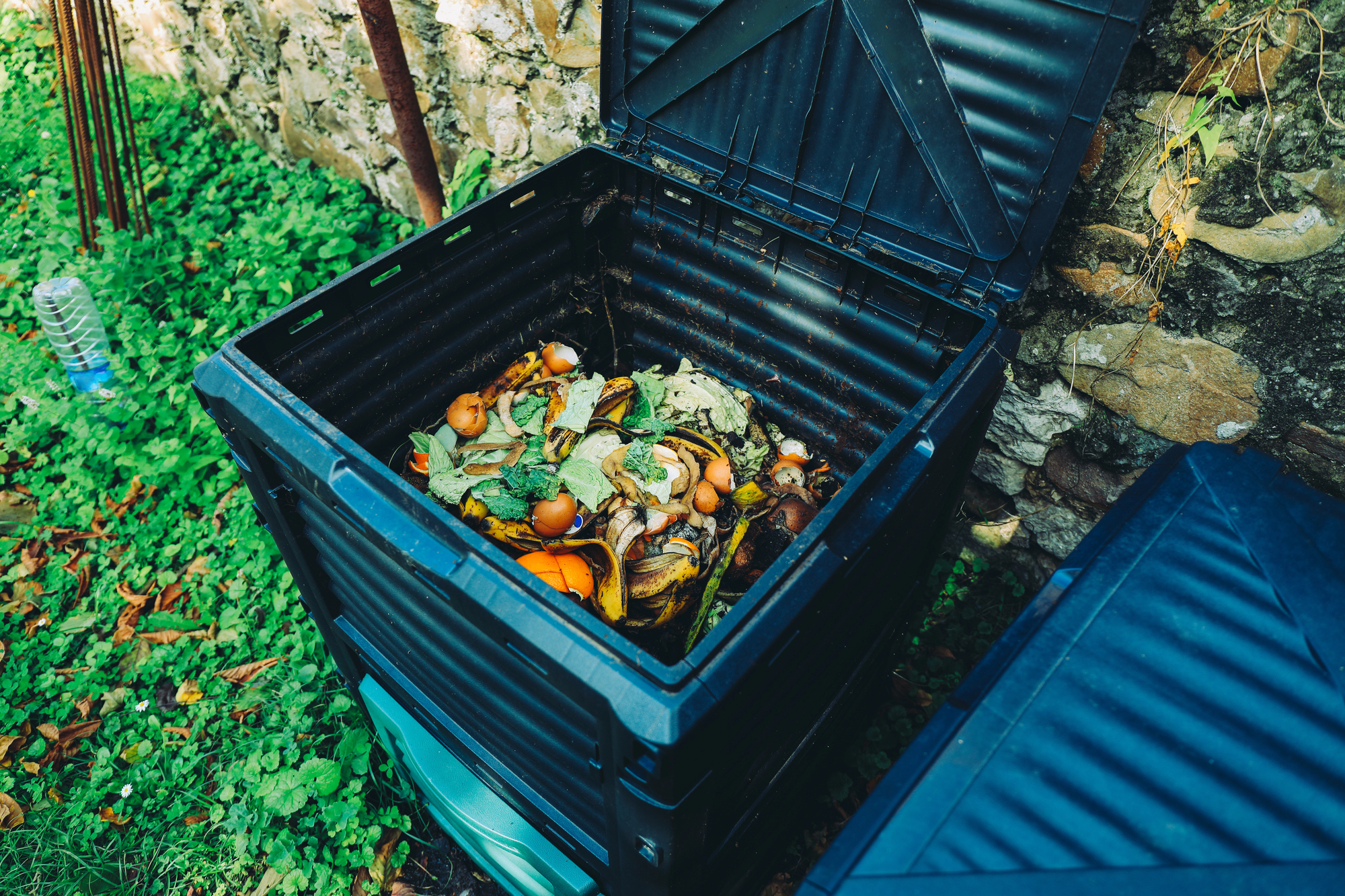17 Simple Steps to Start a Compost Bin