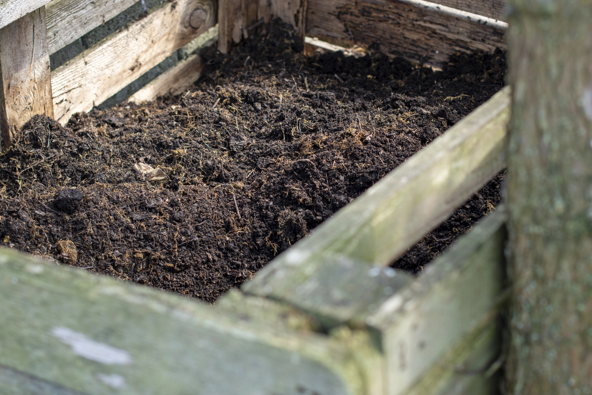 17 Simple Steps to Start a Compost Bin