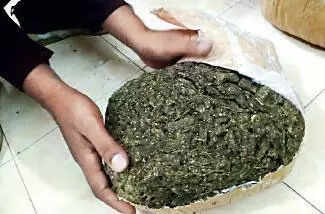 Pune sex racketeer Kalyani Deshpande arrested for ganja smuggling